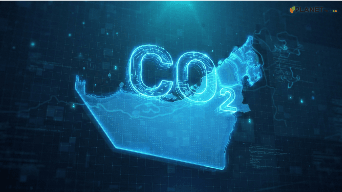 GHG Reporting & Carbon Footprint Consultant in Dubai, UAE